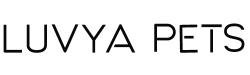 LuvYa Most Rainbow Dog Collar – LuvYa Pets